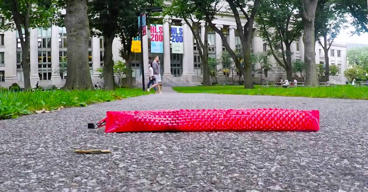 This Robot Can Crawl Thanks to Its Snake-Inspired Skin with Artificial ...