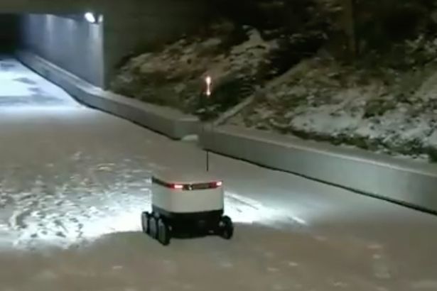 This Food Delivery Robot Successfully Made Its Way Through Snowy ...