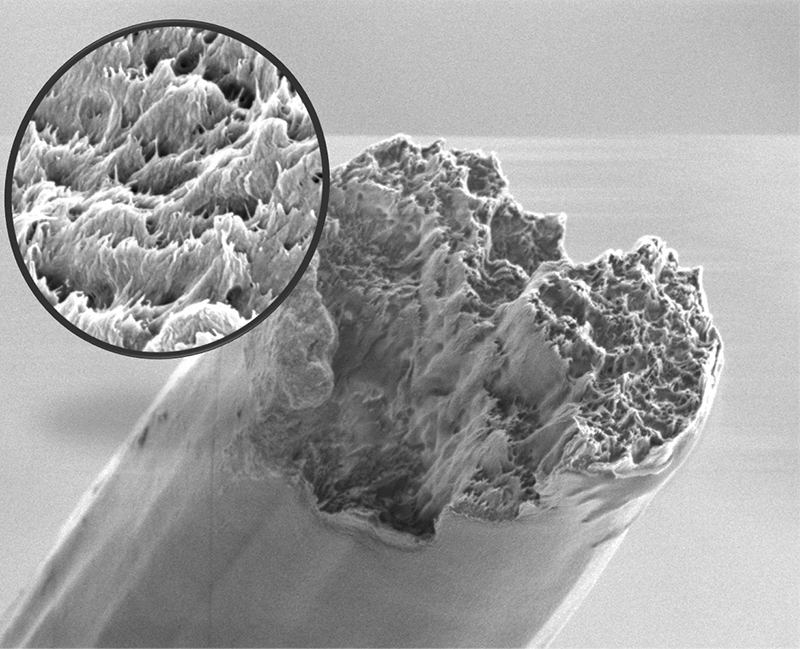 Researchers Develop New Bio-Based Material Stronger Than Spider Silk
