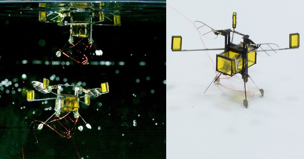 This Autonomous Robot Bee Uses Combustible Rockets to Dive in and out ...