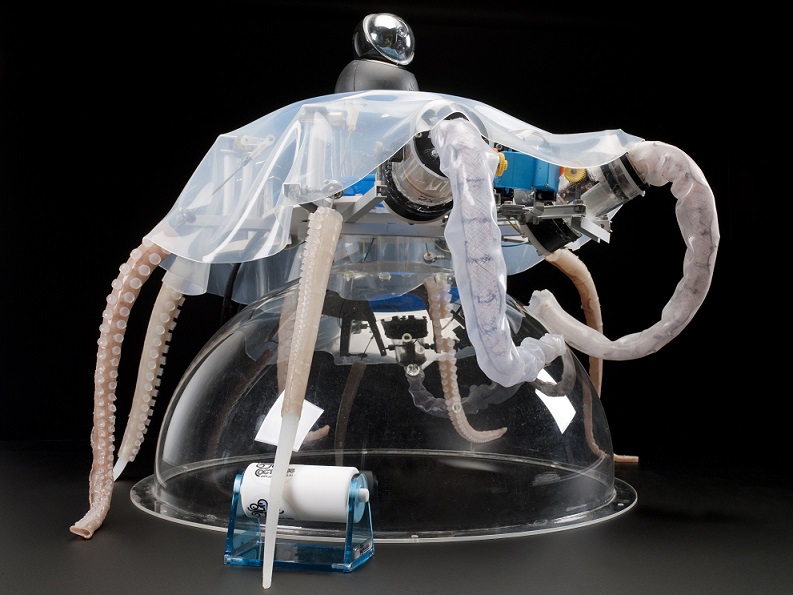 This Octopus-Inspired Robot Can Swim, Grasp Objects and Crawl Around