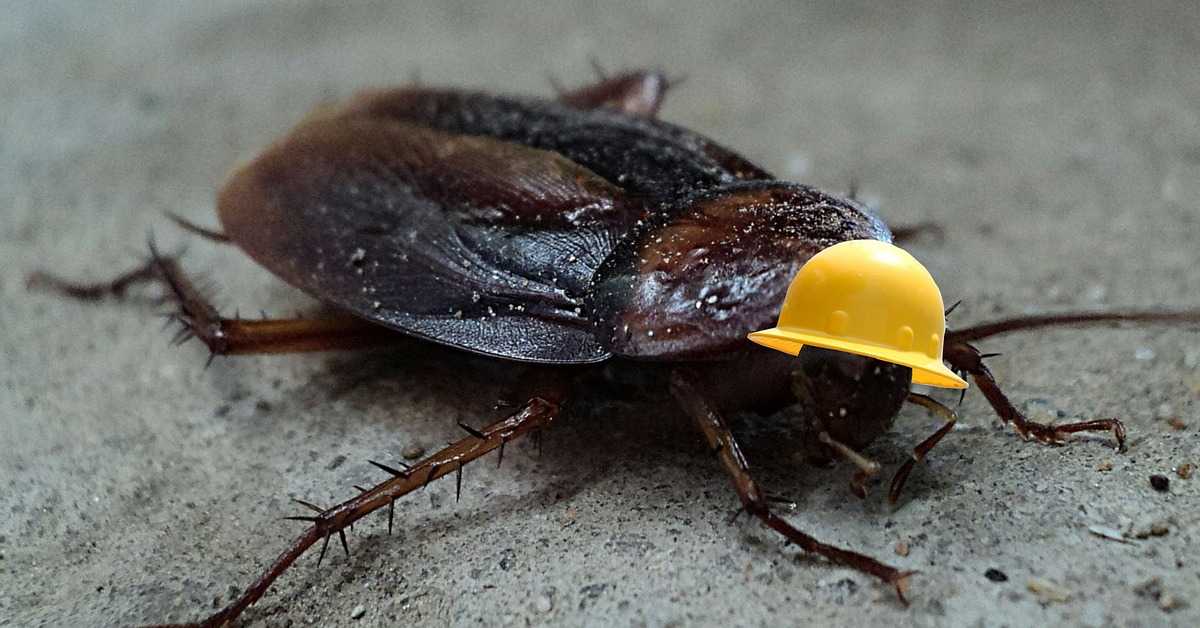 New Microcircuit Can Control and Monitor Cockroach Movement