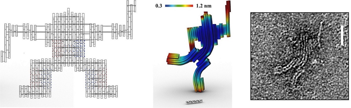 Scientists Build DNA Robots That Could One Day Deliver Medicine Inside ...