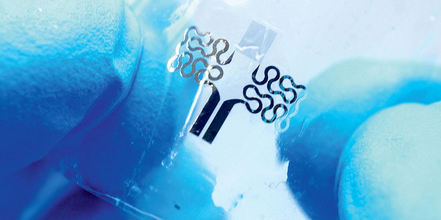 These Biodegradable Microsensors Know Everything About Your Food