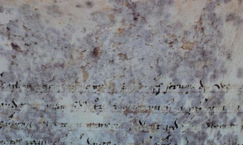 Scientists Finally Solve the Mystery of 800-Year-Old Vatican Scroll