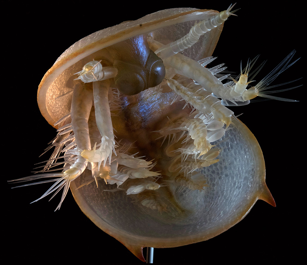 Scientist Teams Up With Artist to Create 3D Sculptures of Half a ...