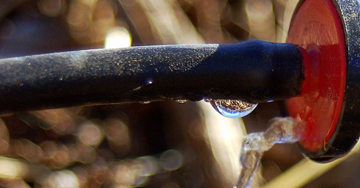How Exactly Does Drip Irrigation Work?