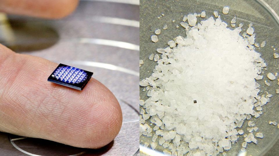 IBM Unveils the World's Smallest Computer That Is Tinier Than a Salt Grain