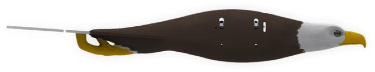 Robotic Robird bird deterrent looks and acts like a real bird