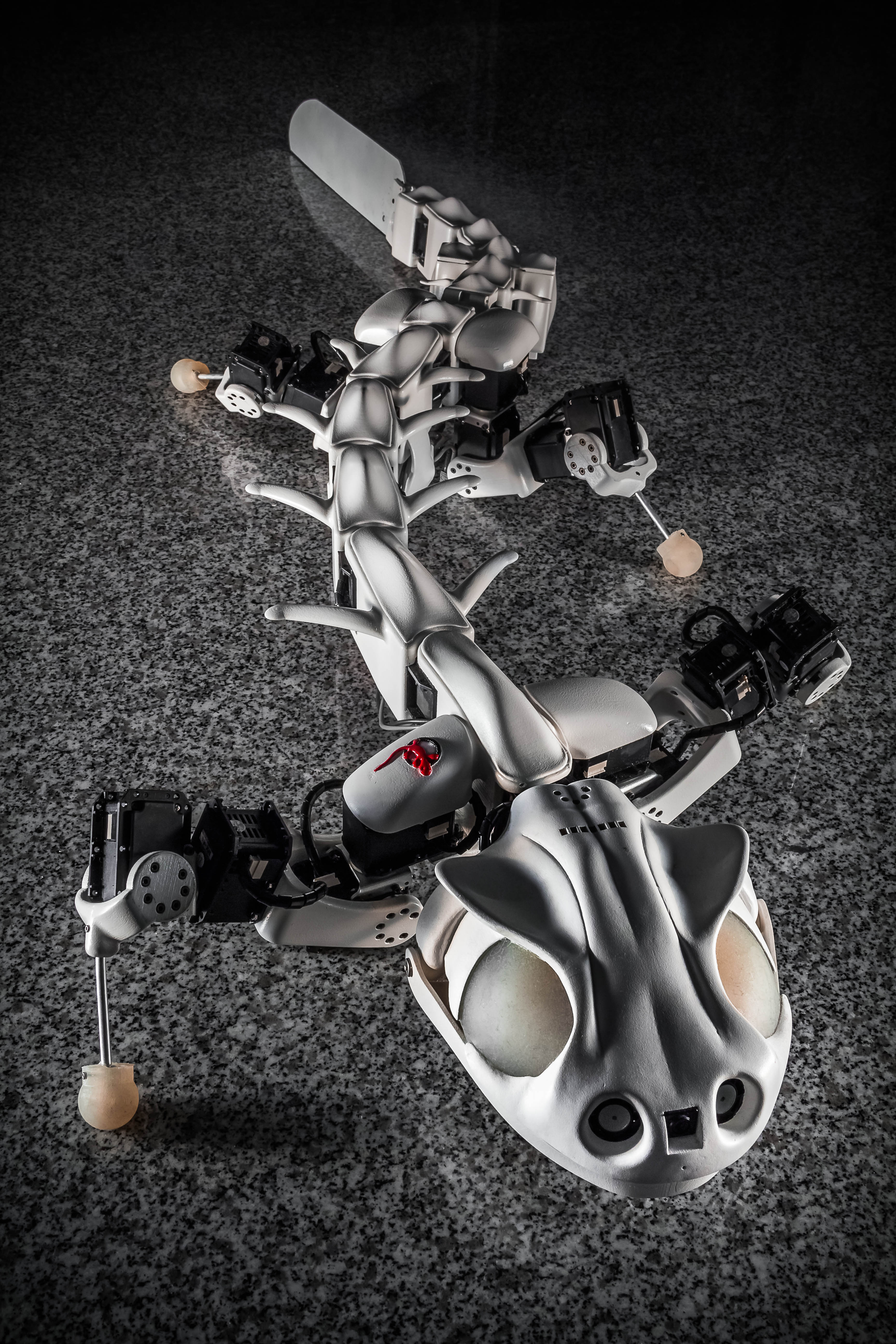 Engineers Create Stunningly Accurate Salamander Robot