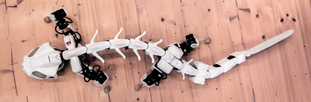 Engineers Create Stunningly Accurate Salamander Robot