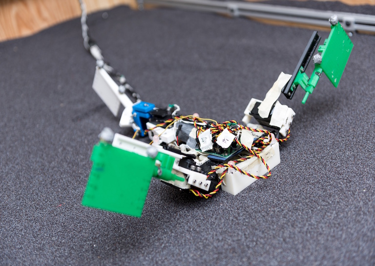 Mudskipper Robot Imitates Movement of First Land Animals