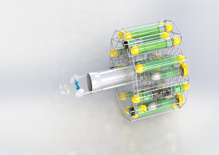 Researchers Create Lionfish Killing Robot to Stop Invasive Species