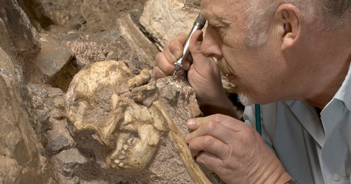 Little Foot Skeleton May be an Entirely New Species of Early Human
