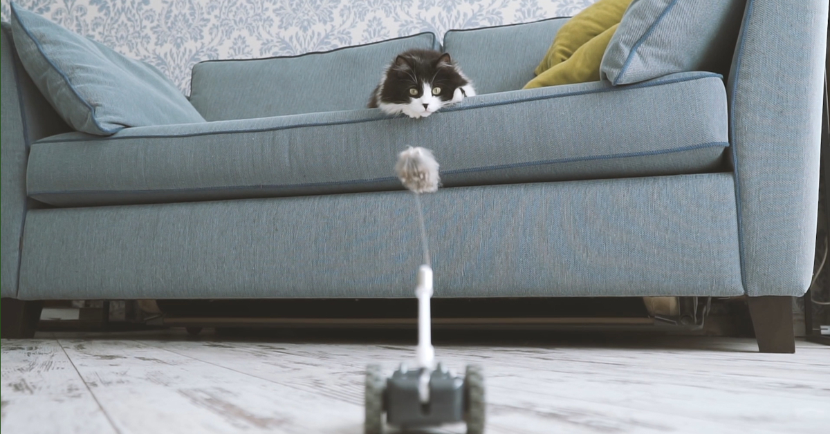 This Autonomous Robot AI Mouse Mimics a Cat’s Hunting Experience