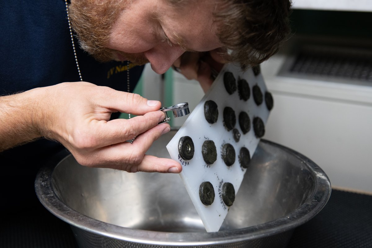 Research Ship May Have Found Rare Meteorite Fragments in the Ocean