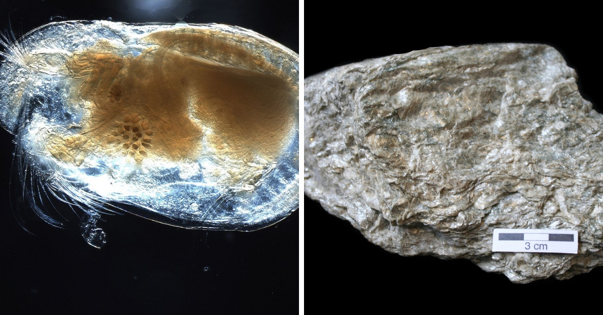 8 Fascinating Origins of Some Common Science Words