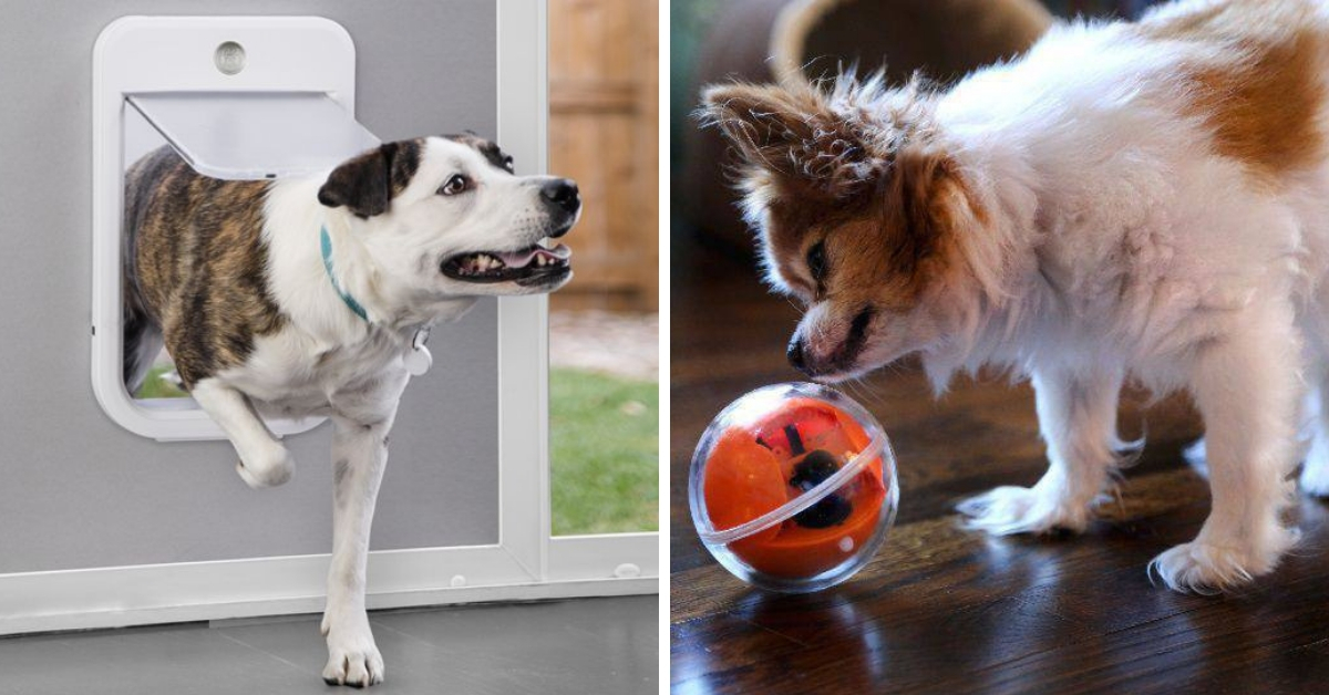 9 Amazing Must-Have Gadgets For Pets