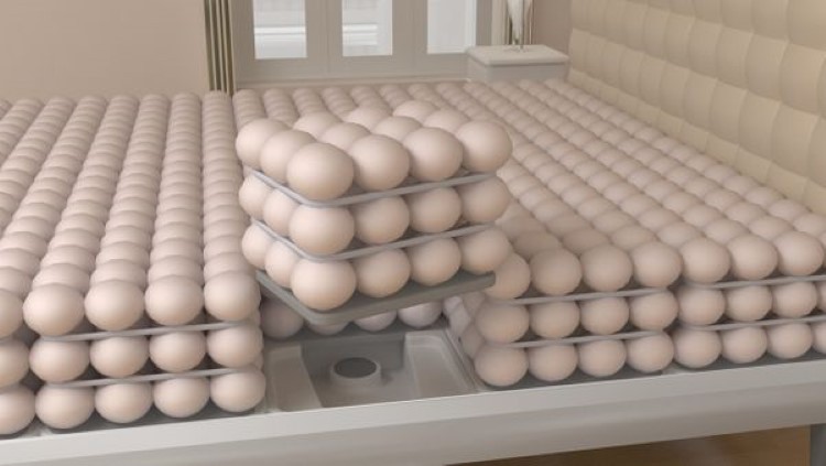 Balluga: the smart interactive bed that redefines sleep