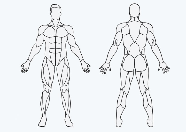 Musclewiki MuscleWiki Hand Side Dumbbell Work Shop For