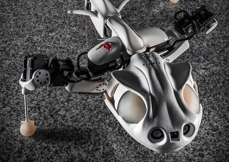 Engineers Create Stunningly Accurate Salamander Robot