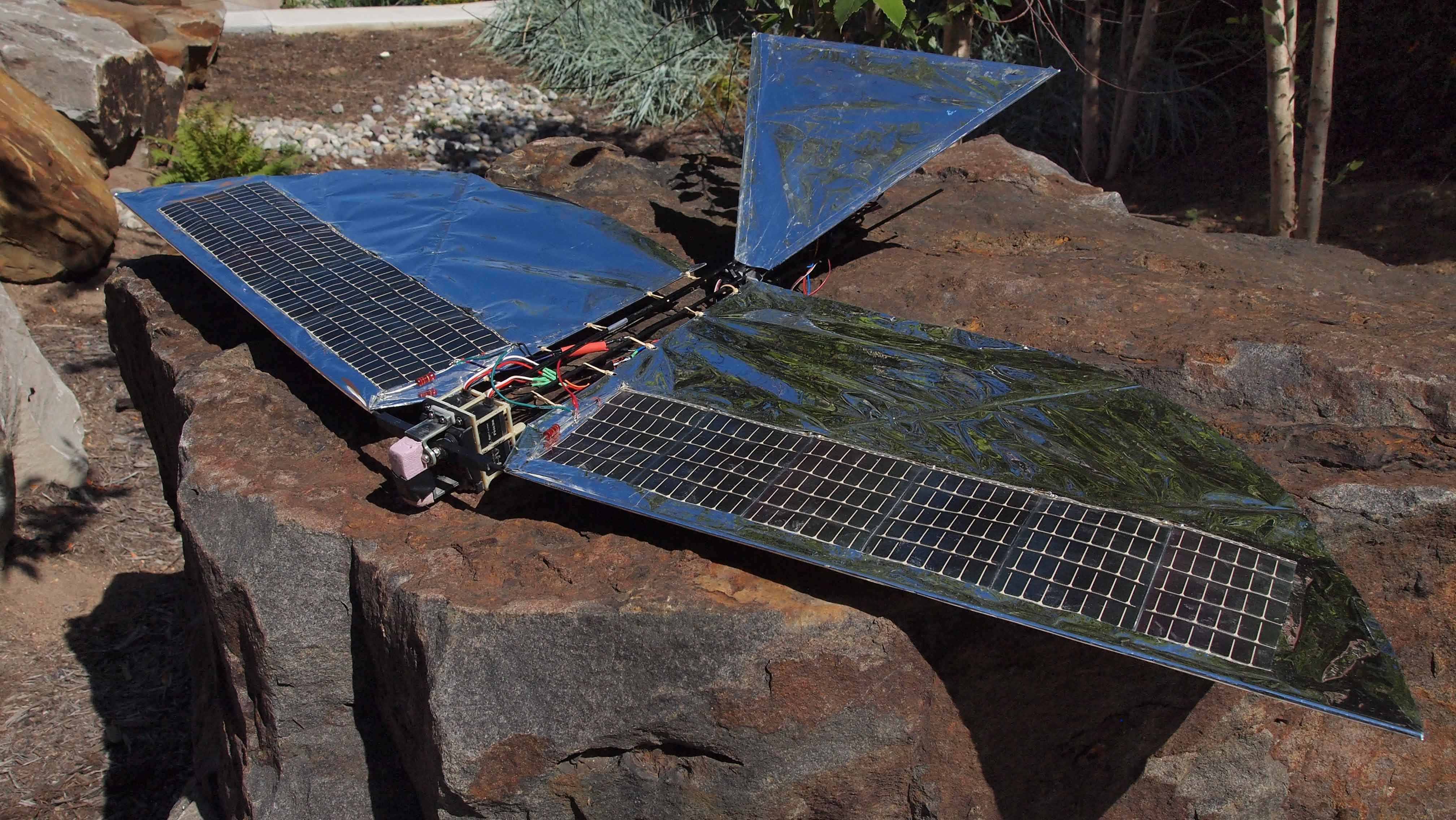 Robotic Bird Flies on Solar Power