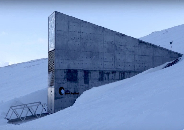 A Look Inside the 'Doomsday Vault' that Houses the World's Seeds
