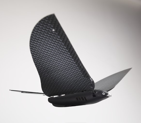 The bionic bird that can be flown using a smartphone