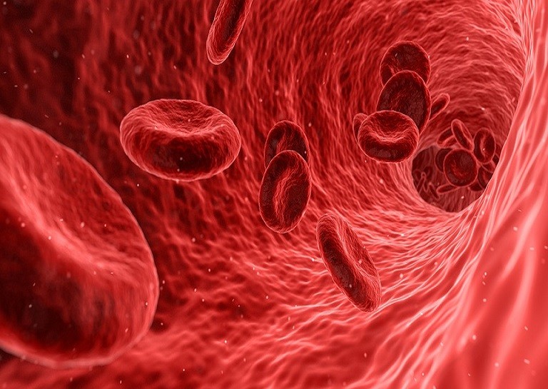 New Research Shows Mass Producing Artificial Blood Is Possible