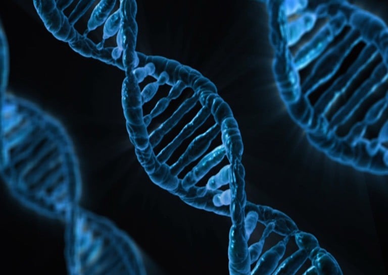 15 animals that have been successfully cloned by scientists