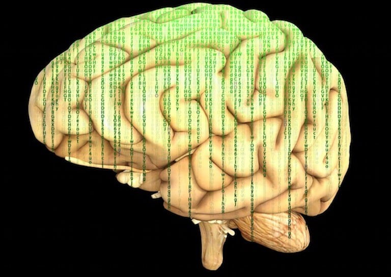 Google's New PAIR Project Hopes to Humanize Artificial Intelligence