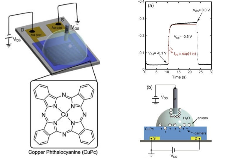 New Ultra-sensitive Biosensor Could Detect Cancer and Other Diseases