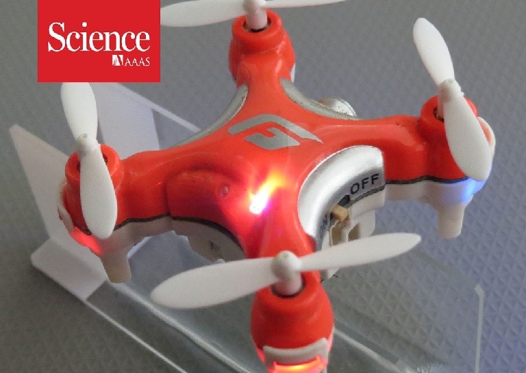 Scientists Develop Drones to Pollinate Plants Just Like Real Bees