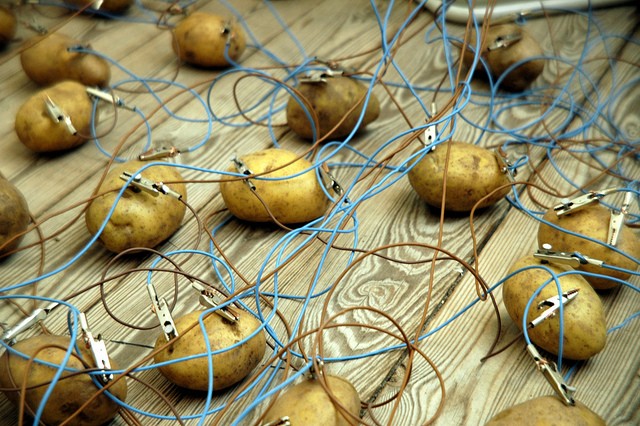 Potato to Power LED-lights and Electronics