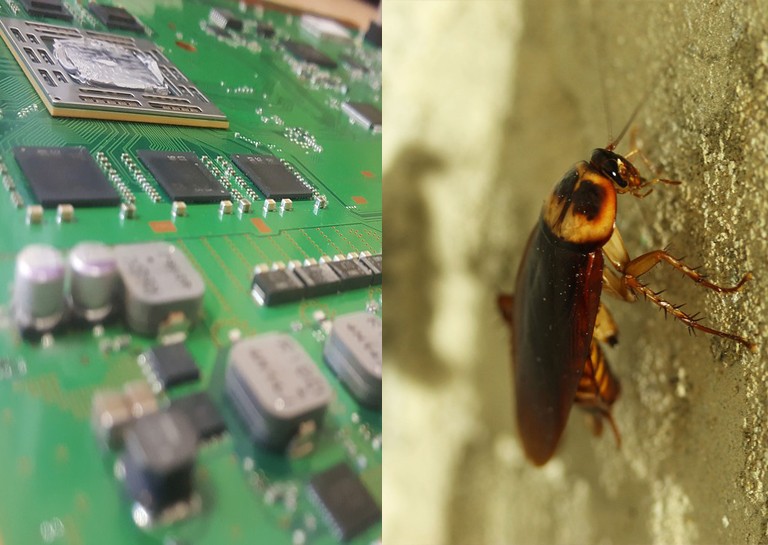 Here's Why Your PS4 Might Be A Lovely Warm Home for Cockroaches