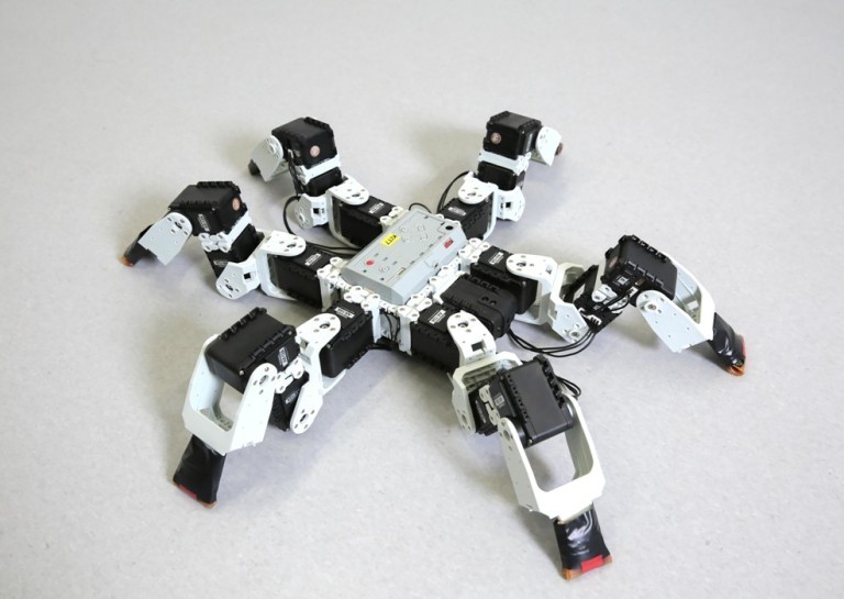 This Insect-Inspired Robot Has People Totally 'Bugging'