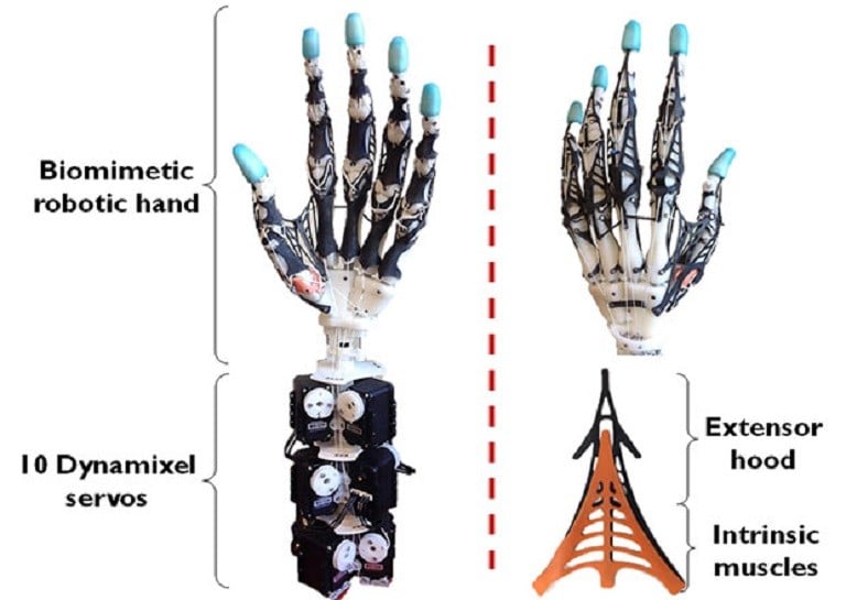 This has to be the most realistic robotic hand ever!