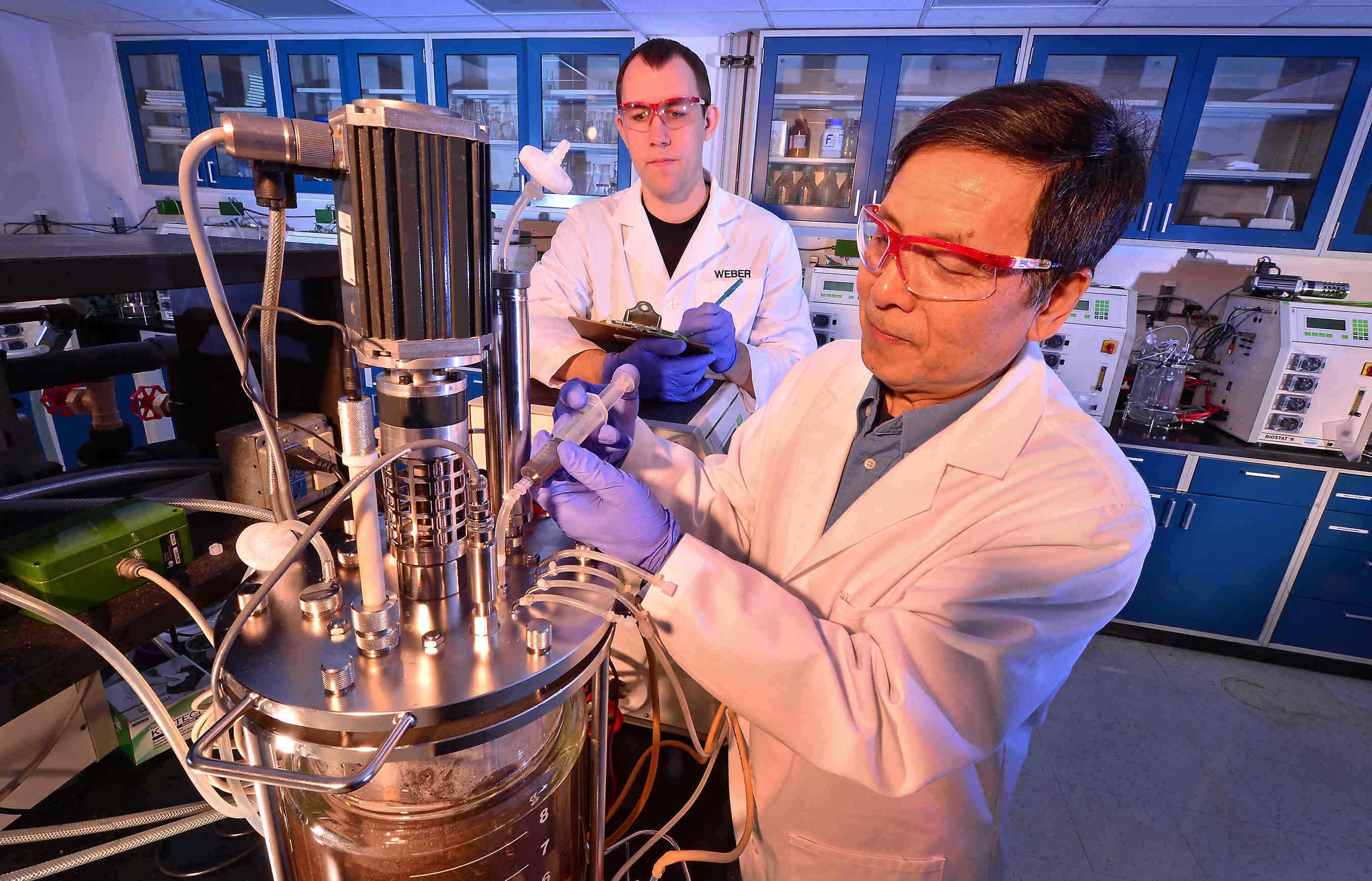 From plants to biofuel: An explanation of biomass pre-treatment