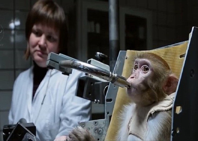 Russians are getting ready to send monkeys to Mars