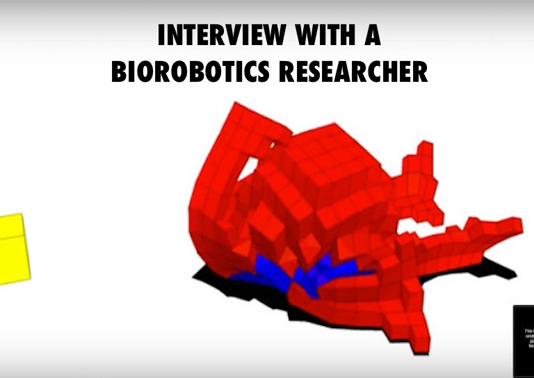 Exclusive Interview with a BioRobotics Researcher