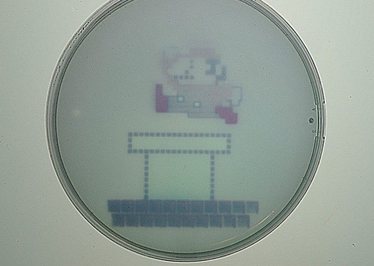 Researchers Engineer E. coli Bacteria to Produce Images of Super Mario