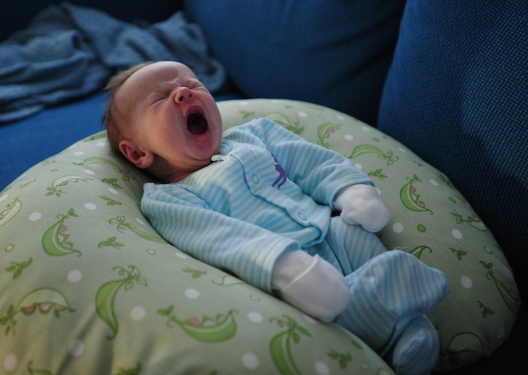 Longer Yawns Mean Bigger Brains, Researchers Say