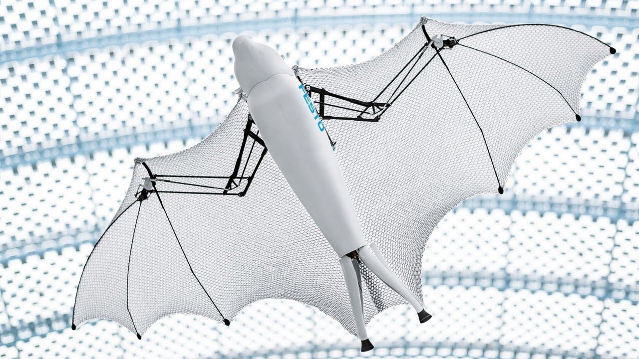 This Bionic Flying Fox Soars Like a Real Bat