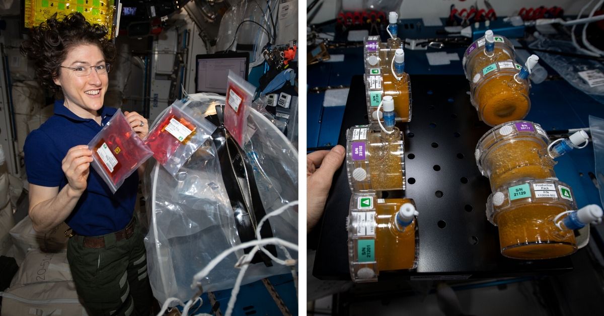 3D Printing and Biology Researches from the ISS Back on Earth via ...