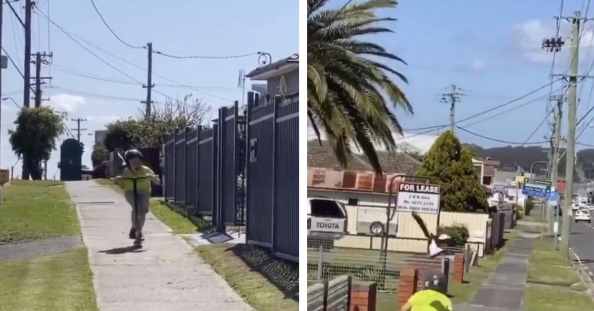 This Video of an Australian Kid Being Chased by a Magpie Will Give You ...