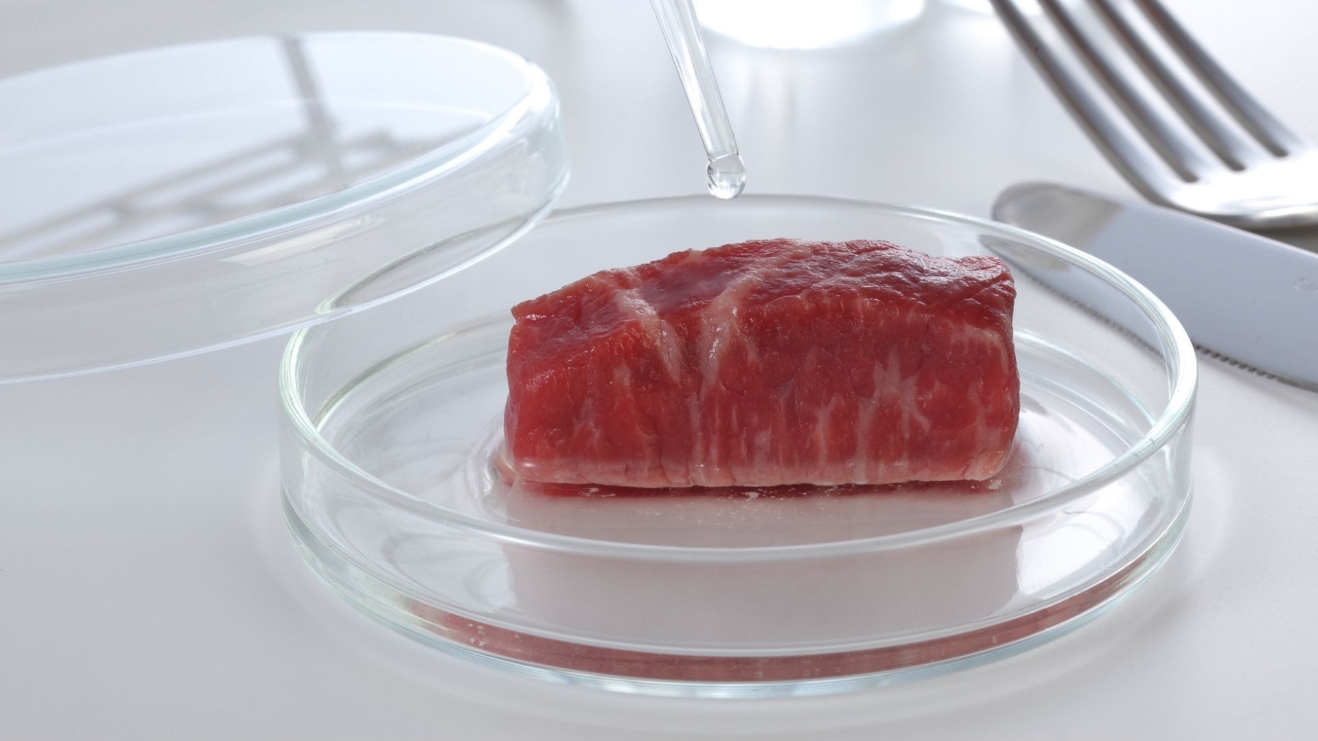 California's New Lab-Grown Meat Facility Is the Most Advanced in the World