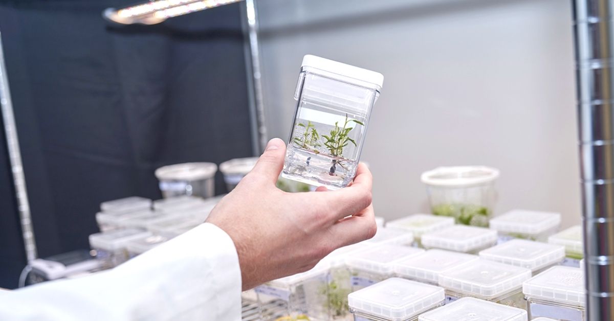 A startup plans to fight climate change with genetically engineered ...