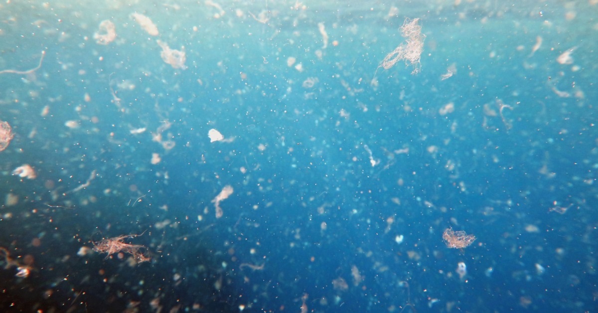 Researchers Filter Microplastics From Water Using Acoustics