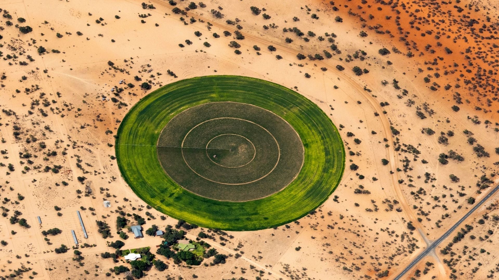 Farmers Are Creating Circular Gardens in the Sahara Desert. Here’s Why