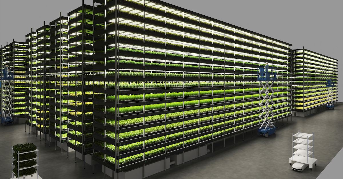 Denmark’s Wind-Powered Vertical Farm Will Produce 1K Tons of Greens a Year